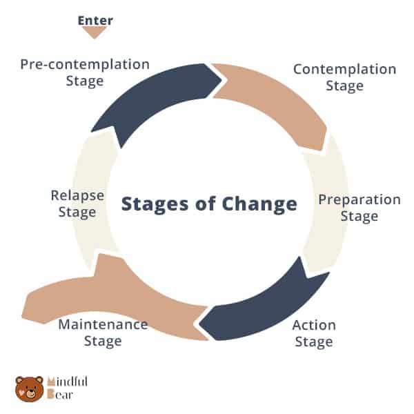 Our Method – MindfulBear